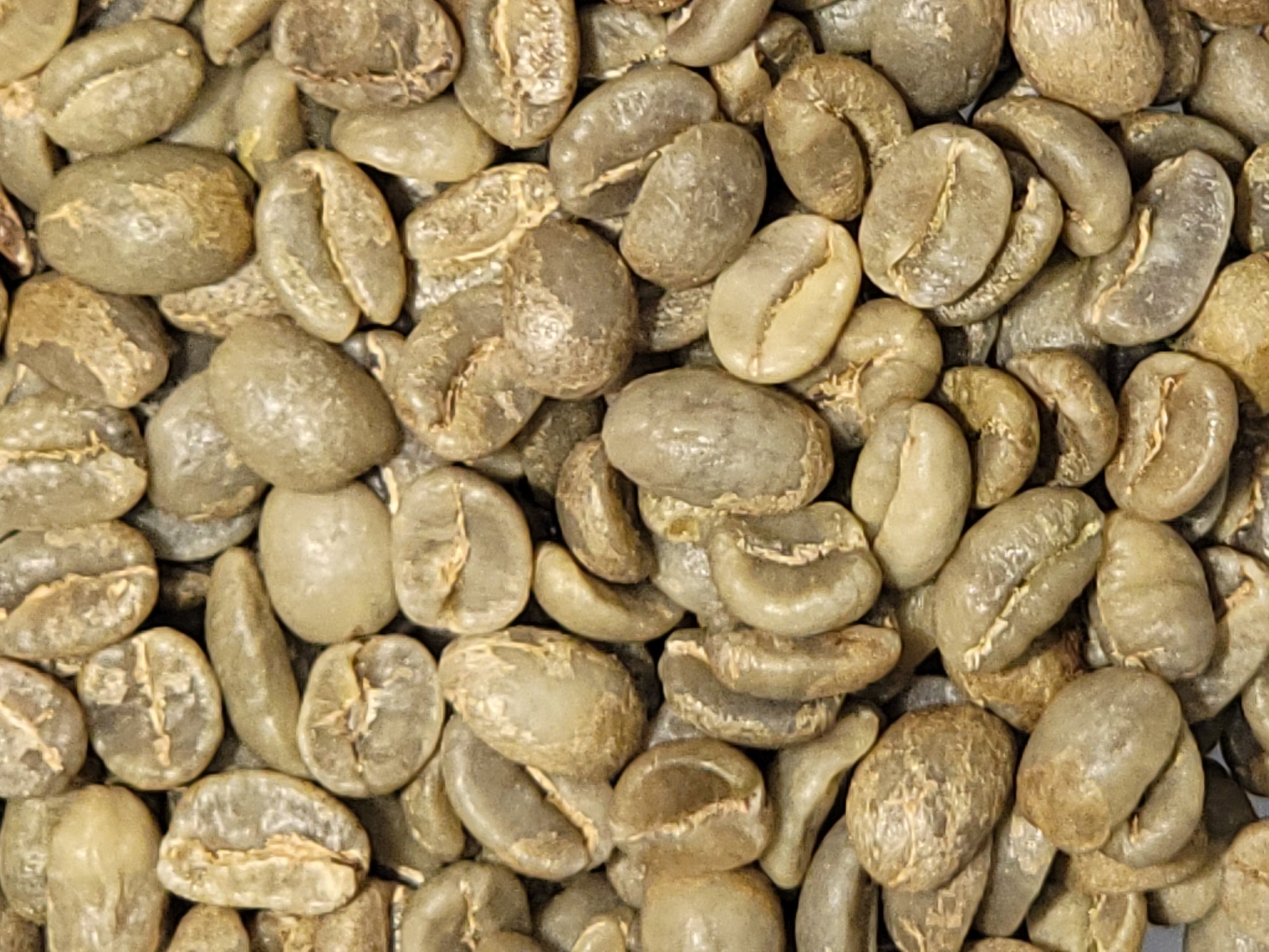 Colombia - Excelso Coffee – Butler Beans Coffee